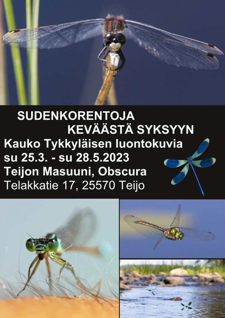 Sudenkorentoja keväästä syksyyn – Teijon Masuuni